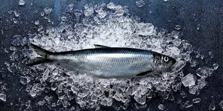 Best 10 popular fish in Ukrainian cuisine - Etnocook